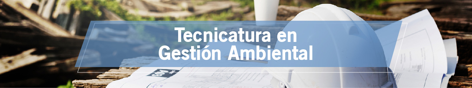 Campus Virtual UNSO